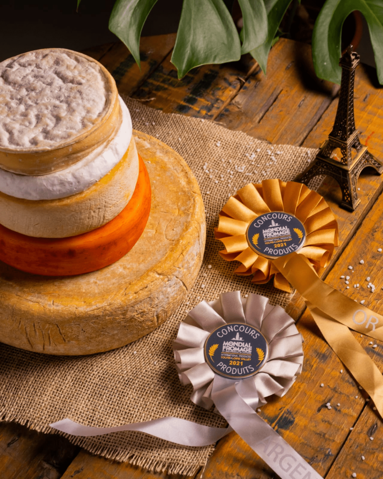 Brazilian cheeses win 5 super gold medals in world