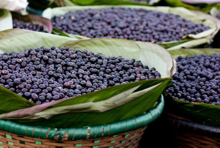 Açaí Is Officially Declared Brazil’s National Fruit
